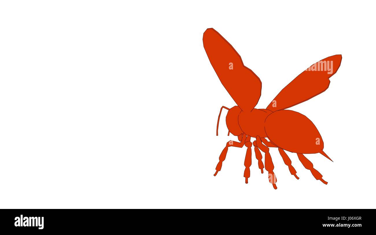 outlined bee isolated on white 3d rendering Stock Photo - Alamy