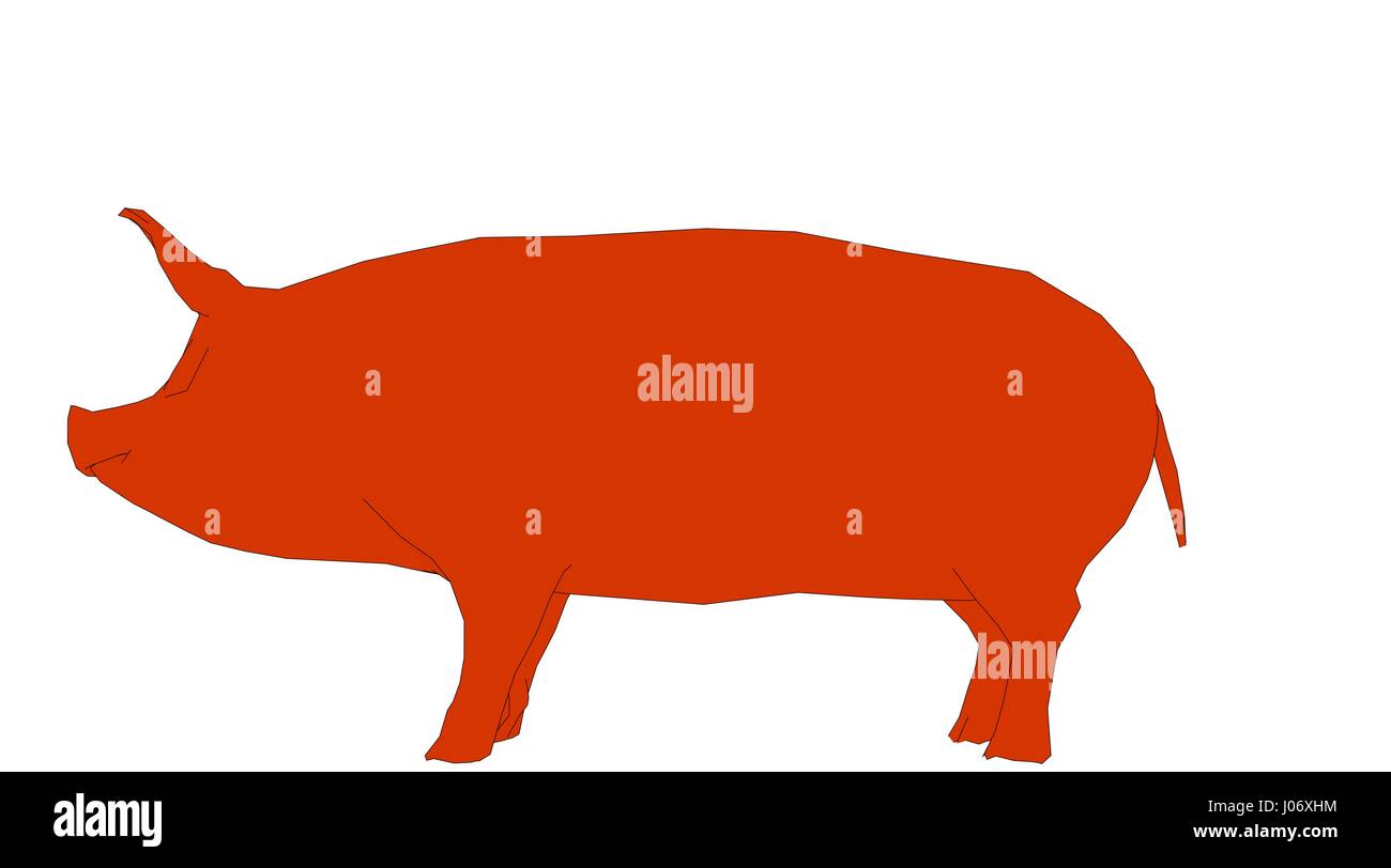 outlined pigl isolated on white 3d rendering Stock Photo - Alamy