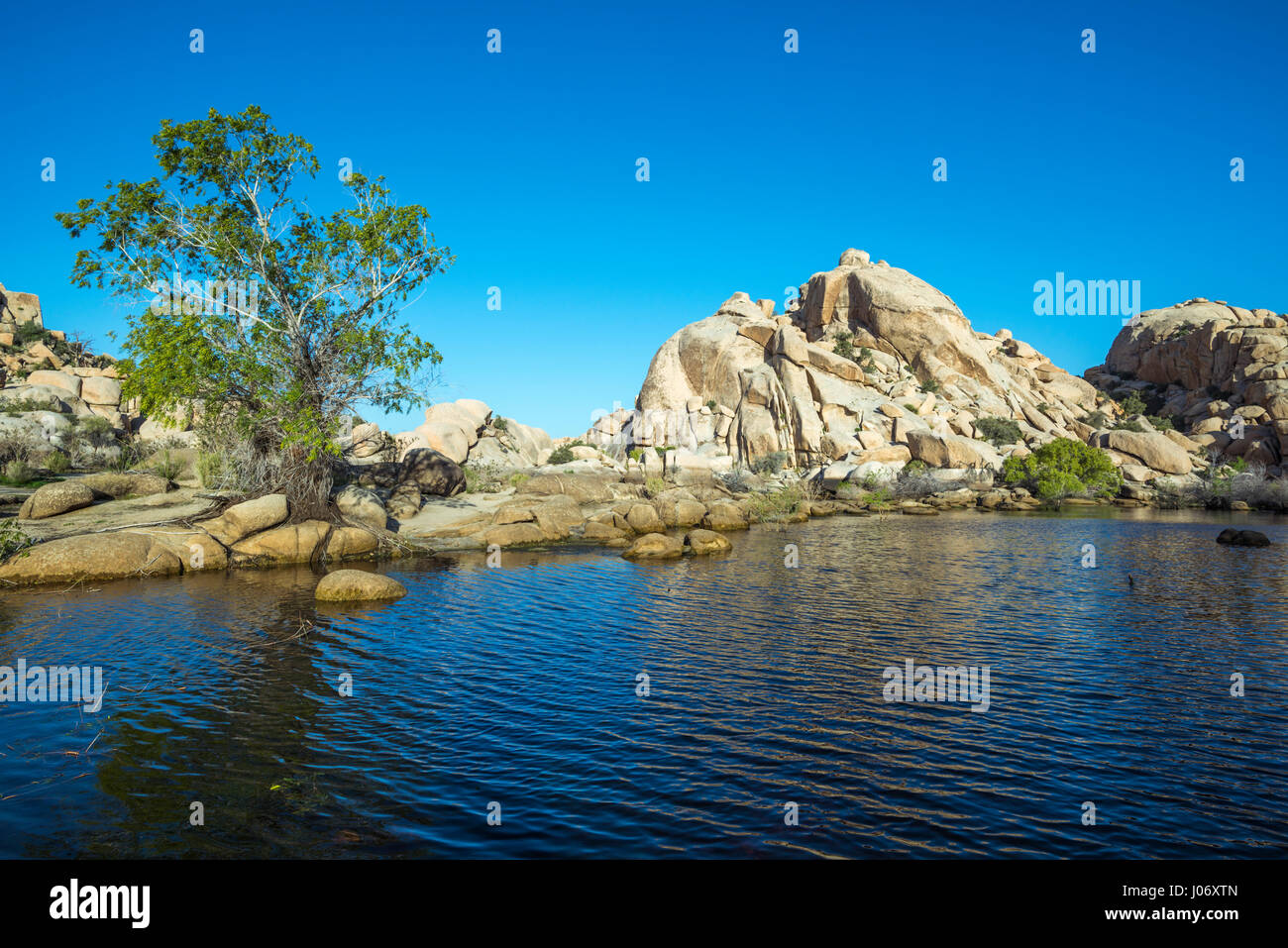 Desert landscape at Barker Dam. Joshua Tree National Park, California ...