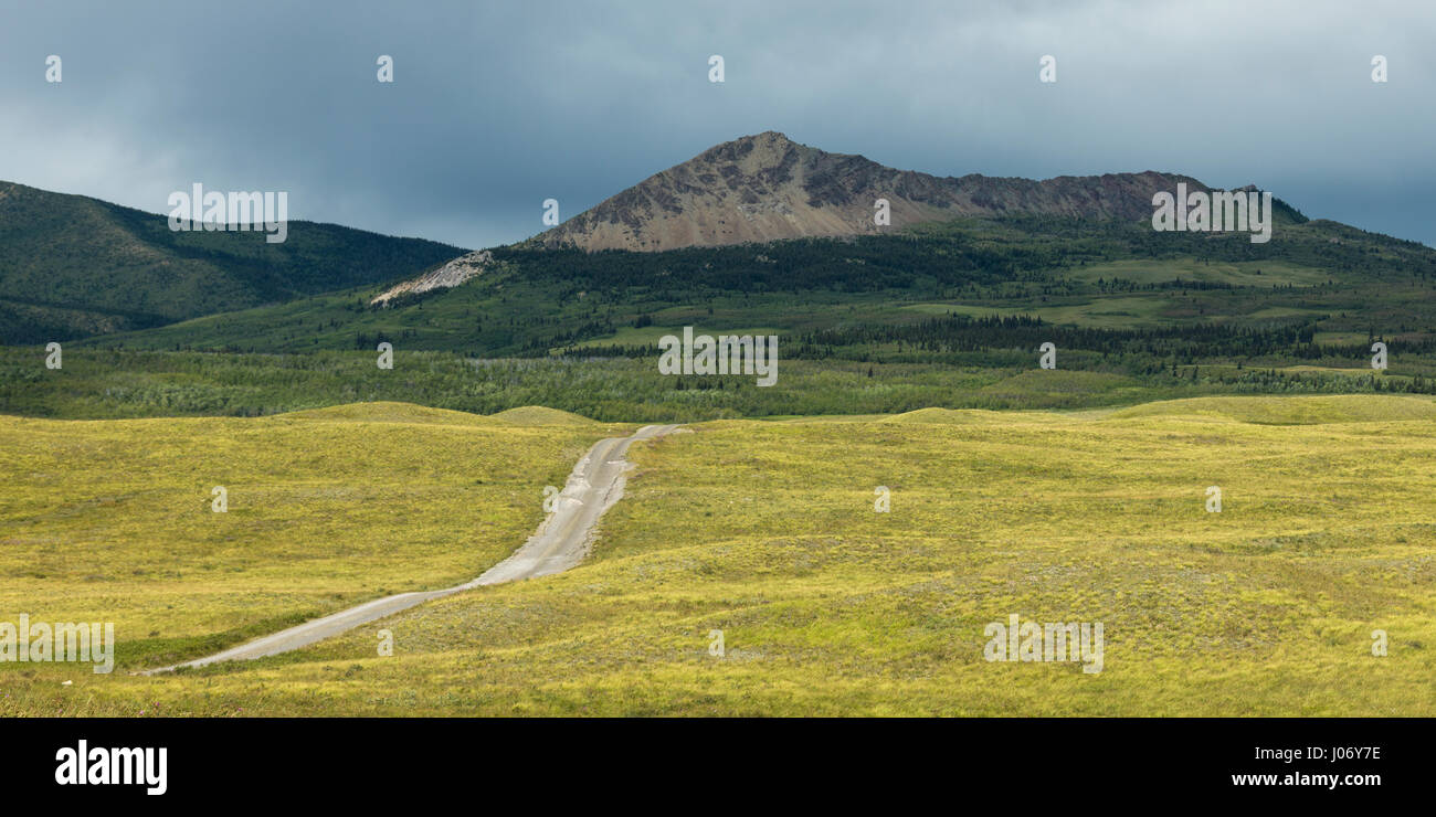 Country road passing through landscape, Bison Paddock, Waterton Lakes ...