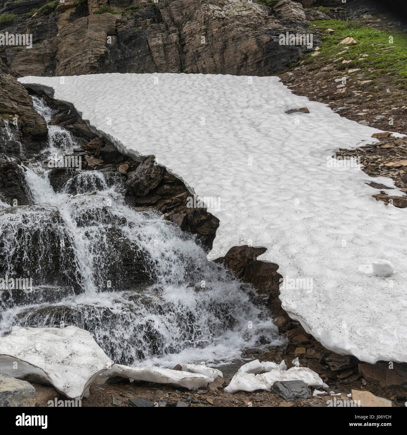 Stream flowing through rocks, Going-to-the-Sun Road, Glacier National ...