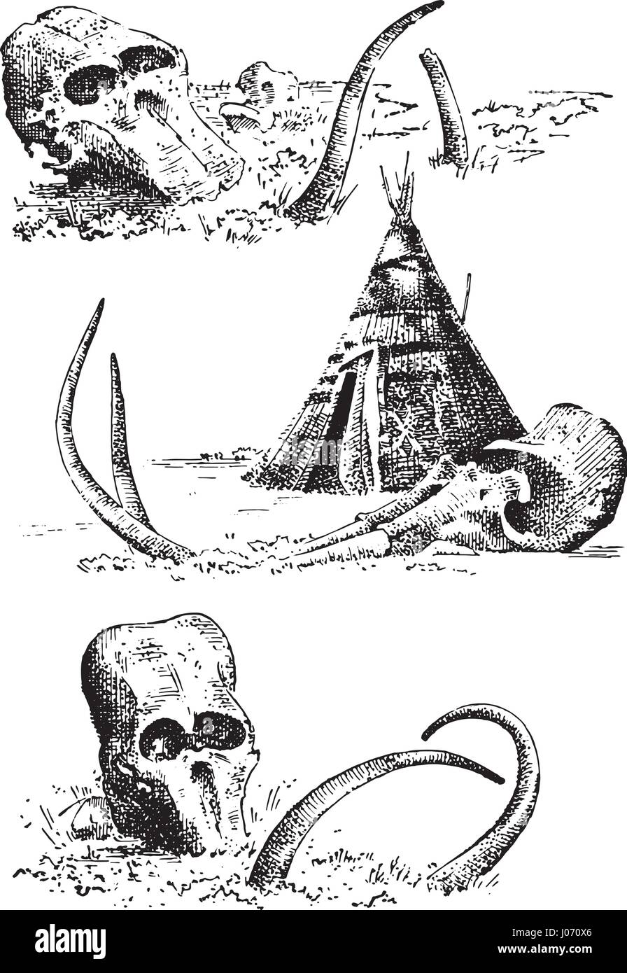 Stone age vector Caveman or troglodyte illustration, mammoth skeleton ...