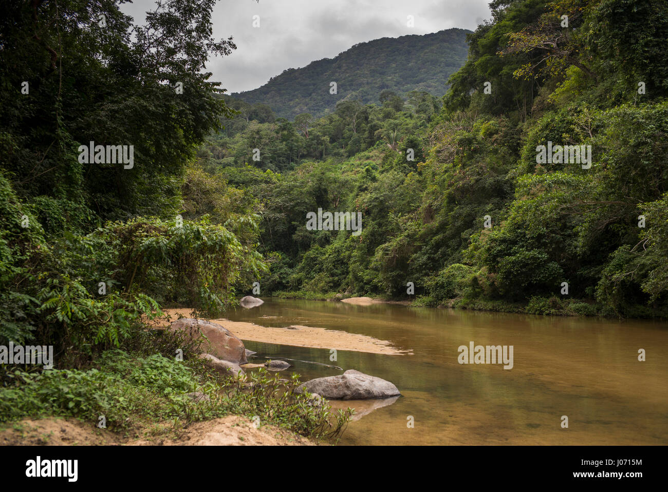 Scenic view of river flowing in forest, Yelapa, Jalisco, Mexico Stock ...