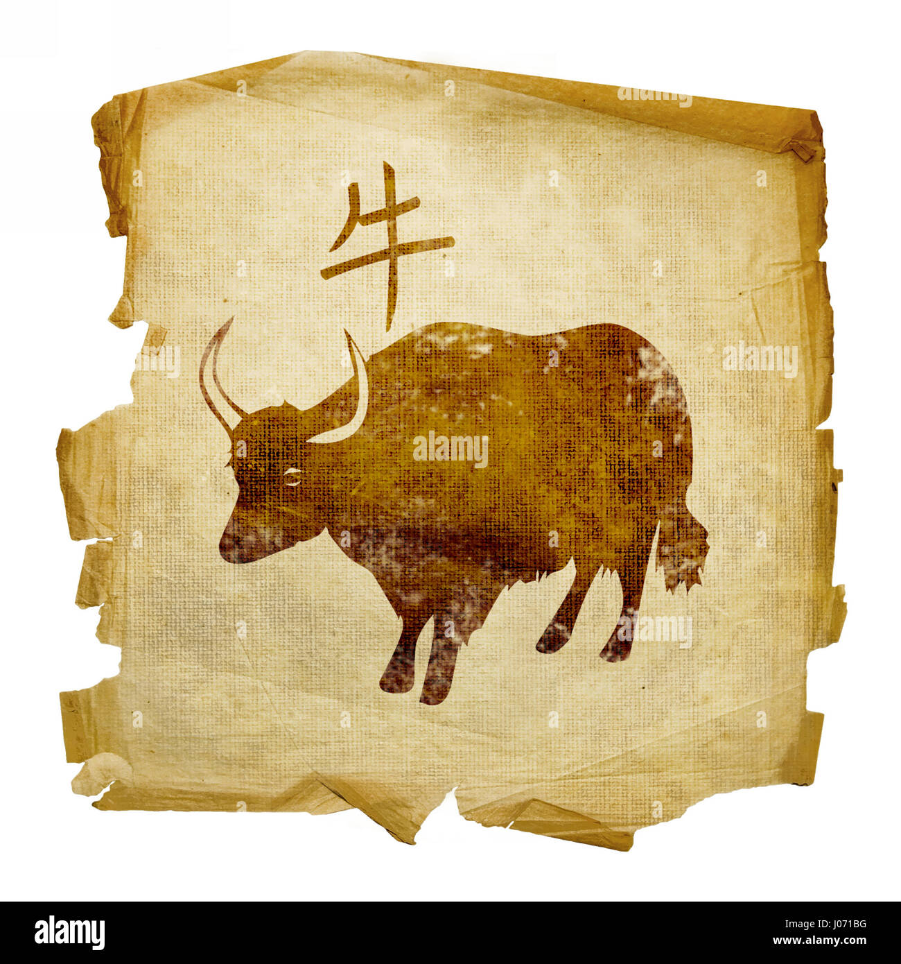 Chinese yellow cow isolated hi-res stock photography and images - Alamy