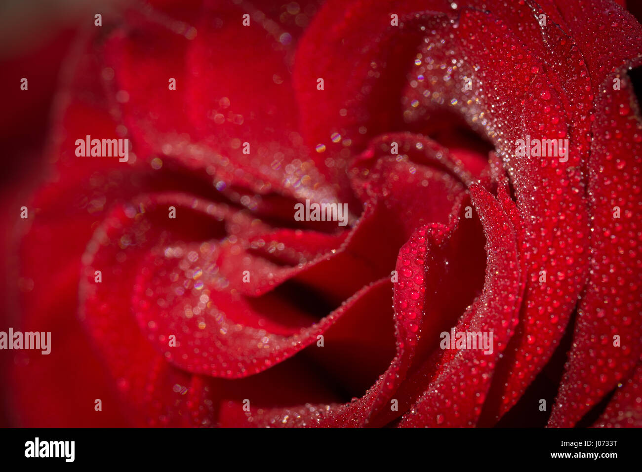 Light through water drop hi-res stock photography and images - Alamy
