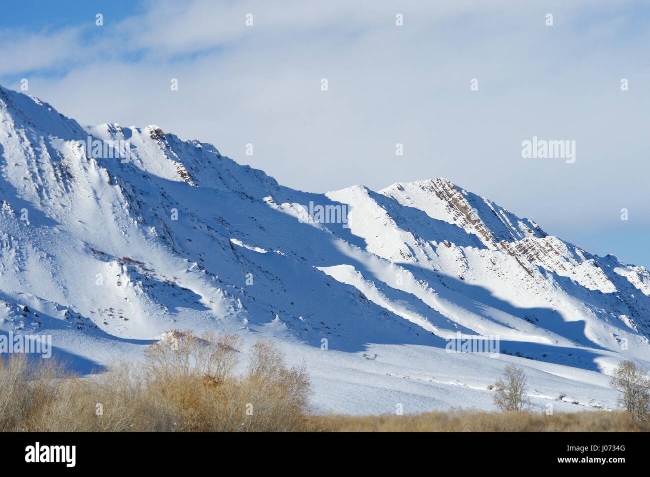 Mongolia steppe pony hi-res stock photography and images - Alamy