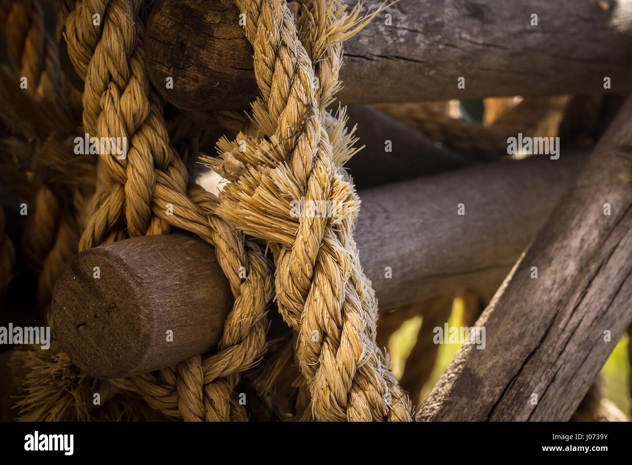 Wooden logs knotted together with a weathered rope to make a ladder ...