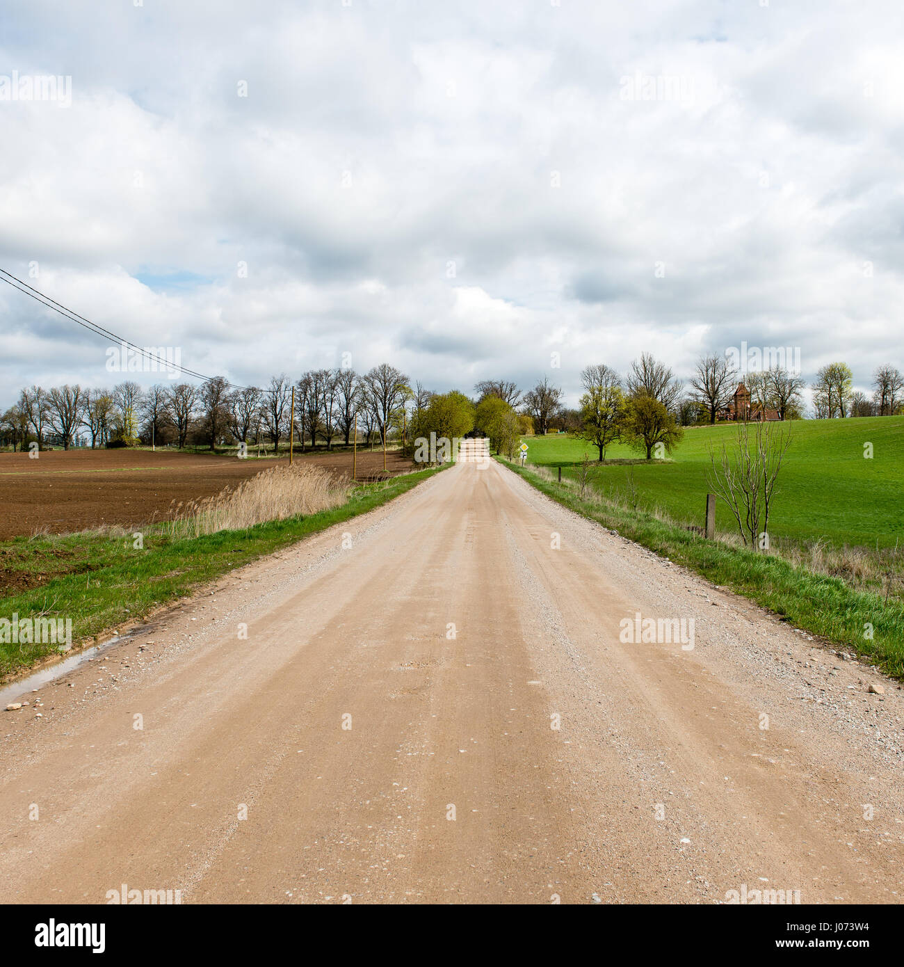 empty country road in spring with perspective and shadows Stock Photo ...