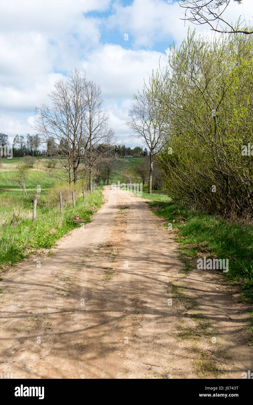 empty country road in spring forest with perspective and shadows Stock ...