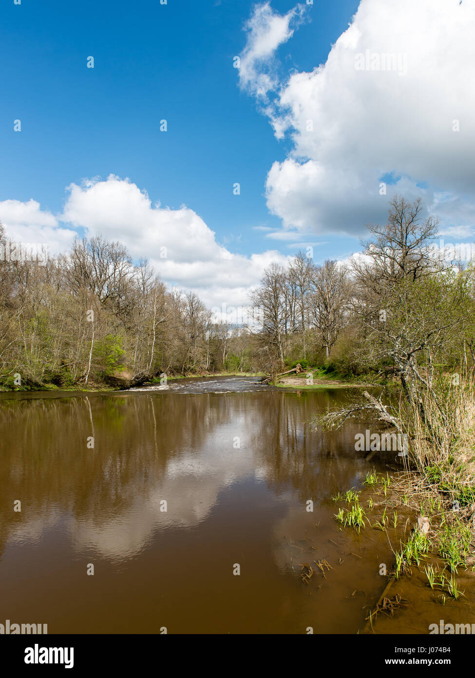 scenic and beautiful reflections of trees and clouds in water of the ...