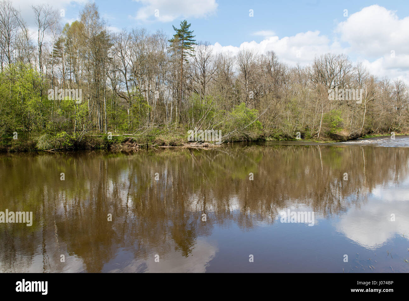 scenic and beautiful reflections of trees and clouds in water of the ...