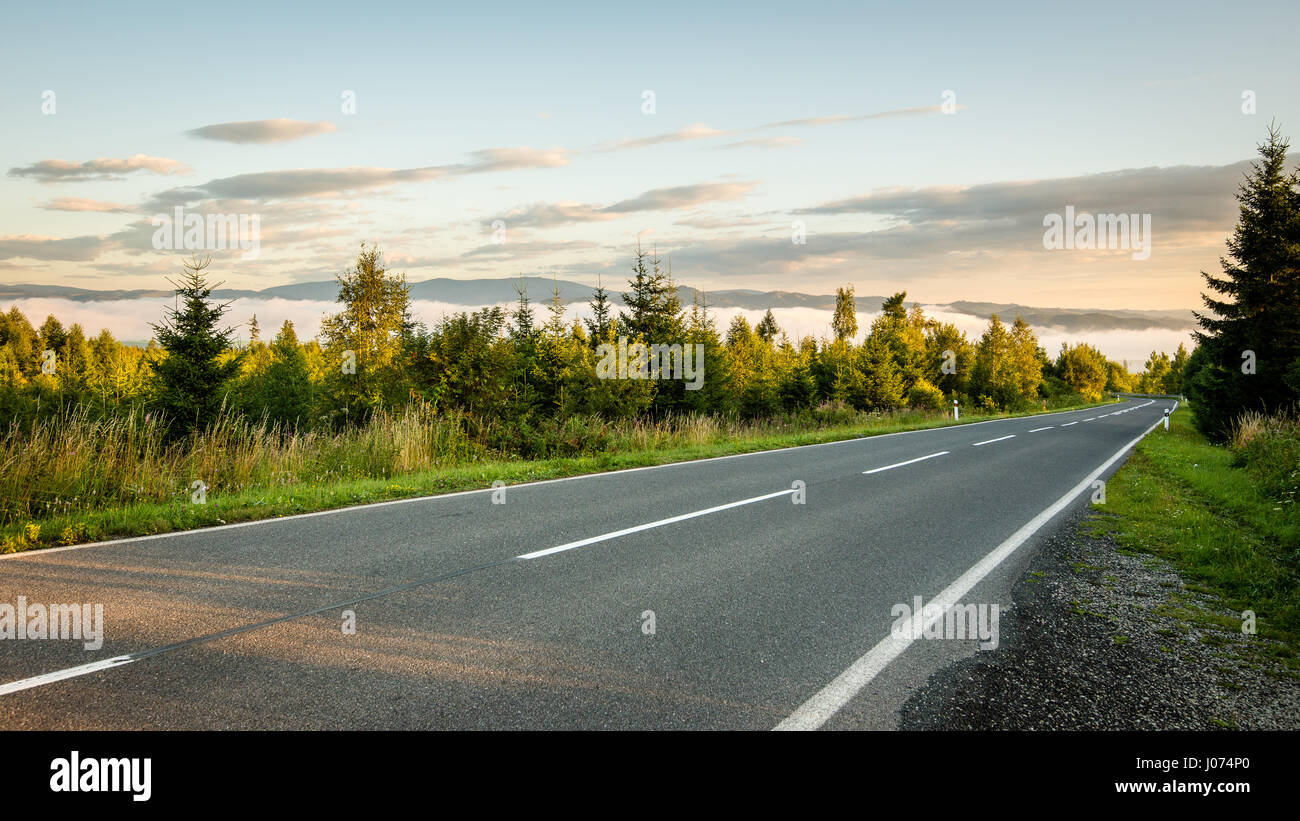 simple country road in summer at countryside with trees around Stock ...