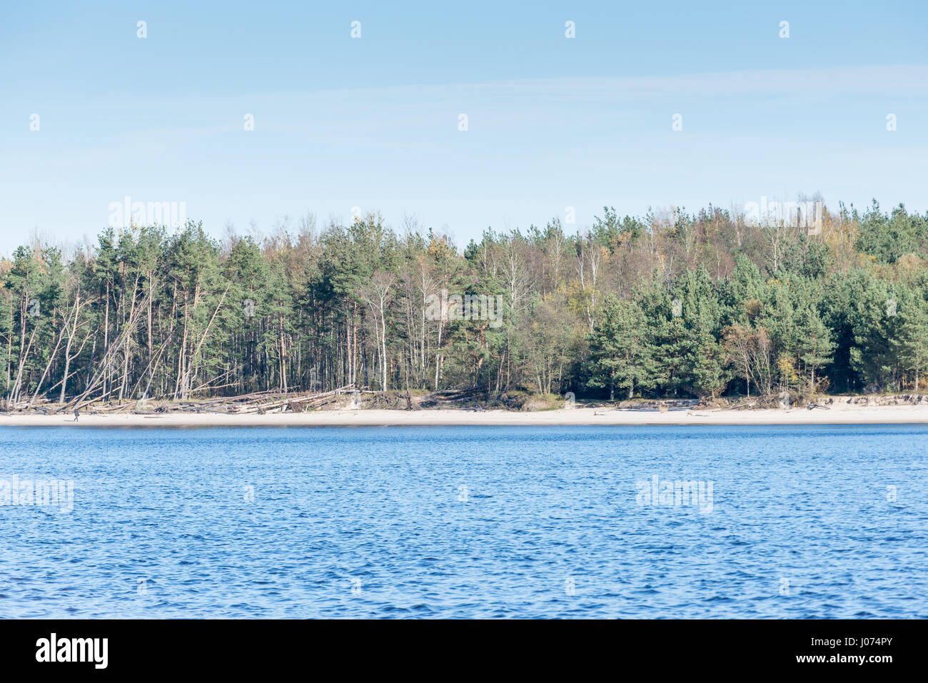 late fall colors in dunes near the sea in autumn Stock Photo - Alamy