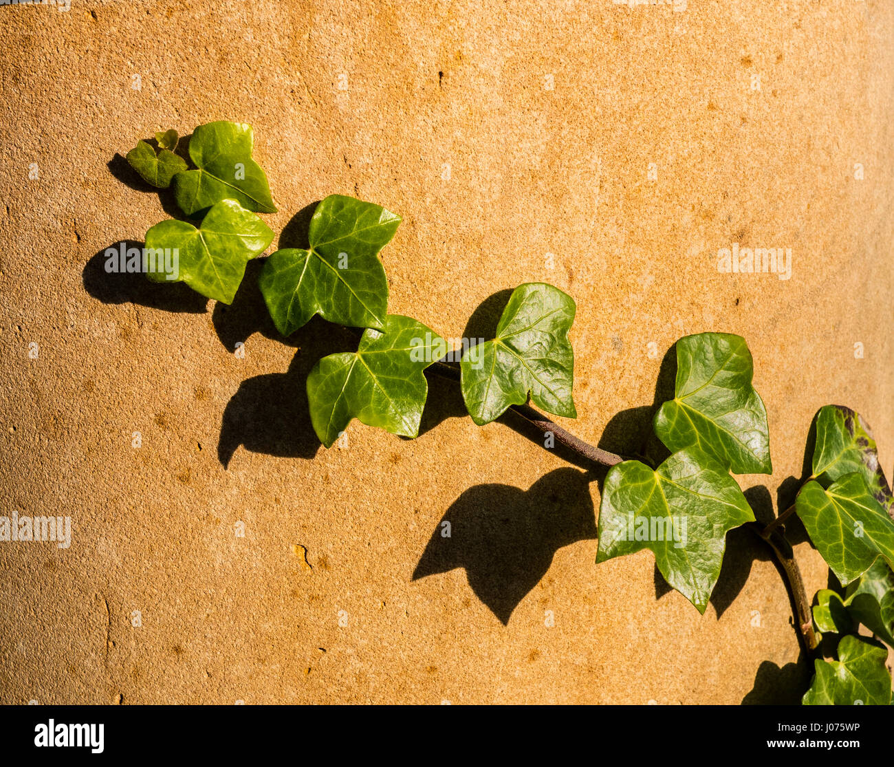 Sandstone pillar hi-res stock photography and images - Alamy