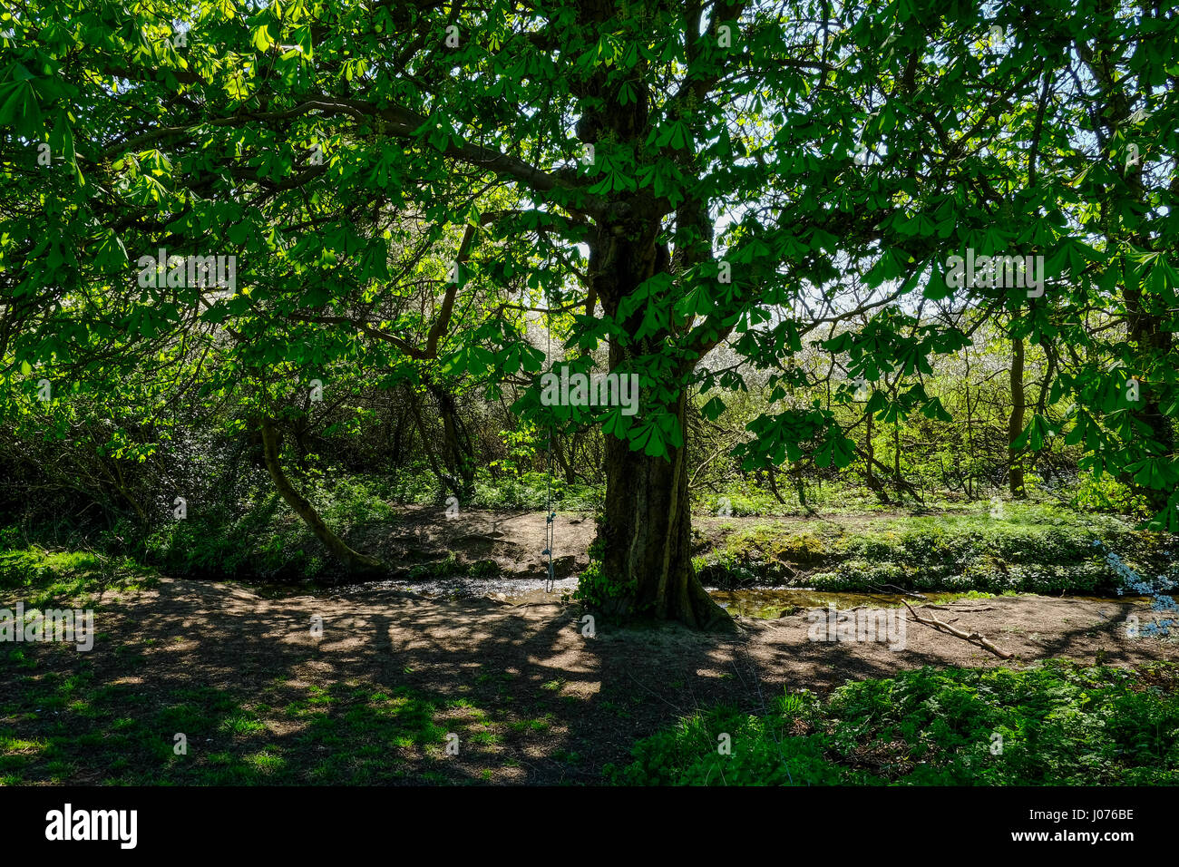 Barnet green space Stock Photo - Alamy
