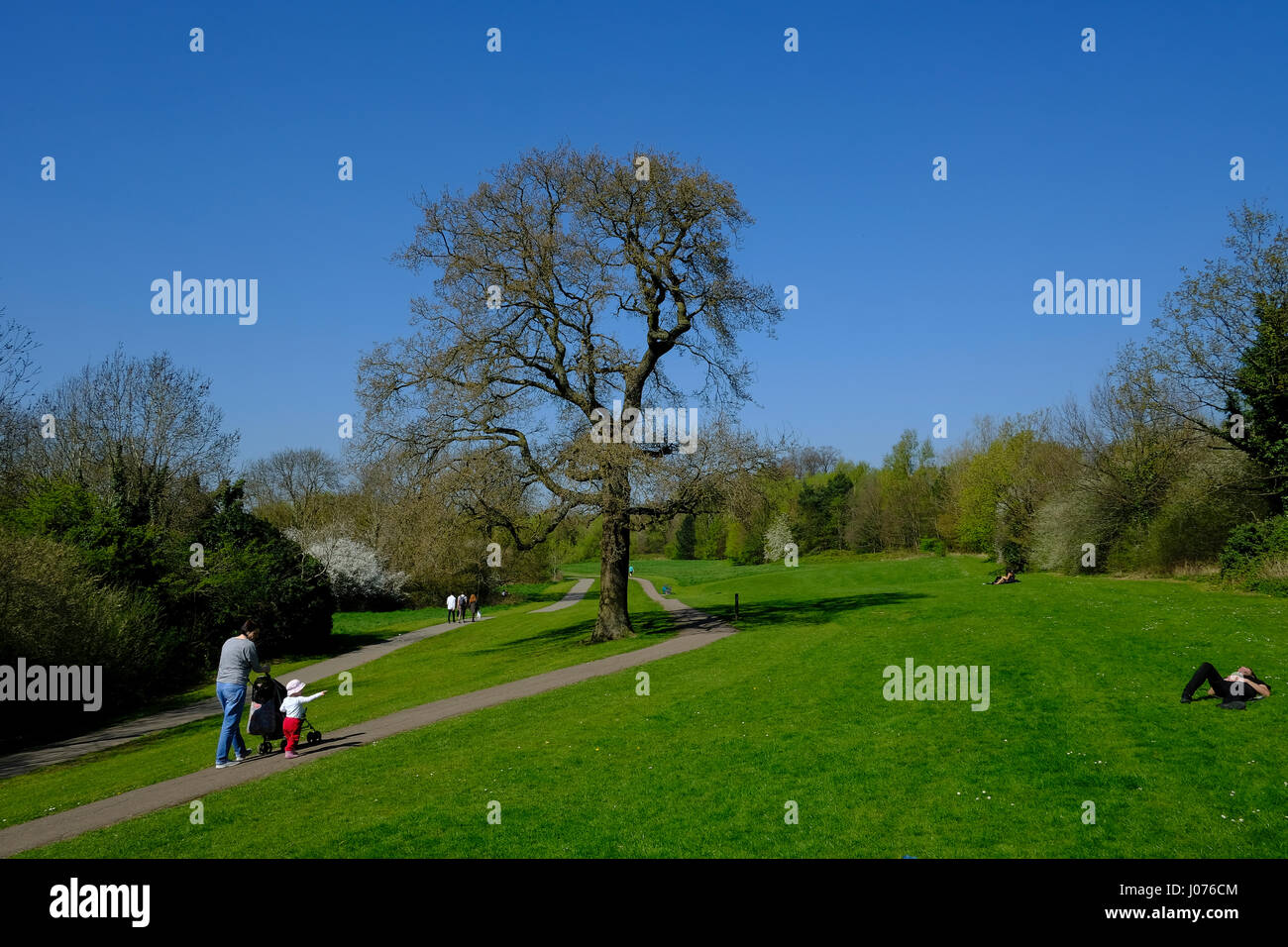 Barnet green space Stock Photo - Alamy