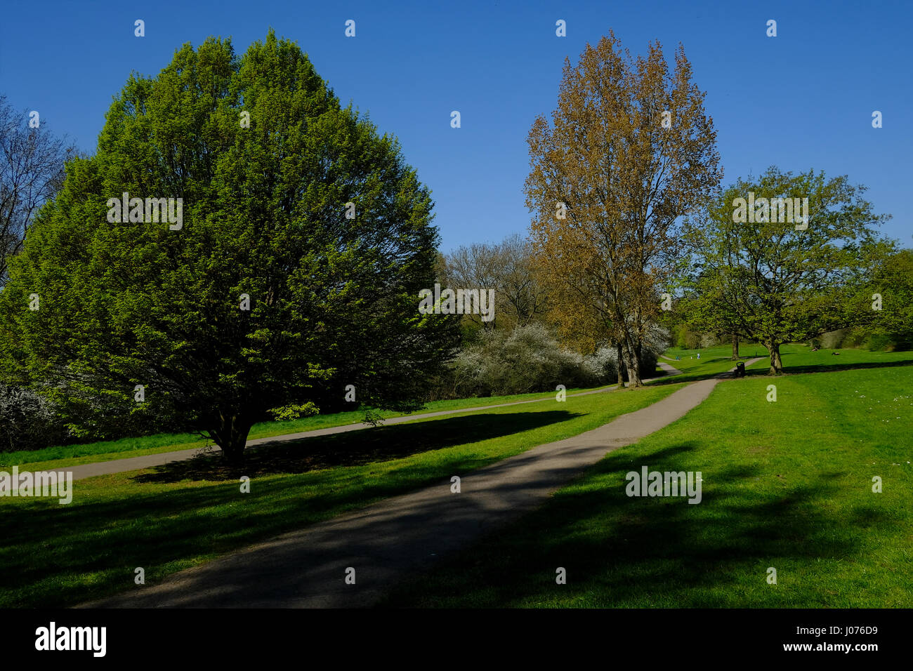 Barnet green space Stock Photo - Alamy