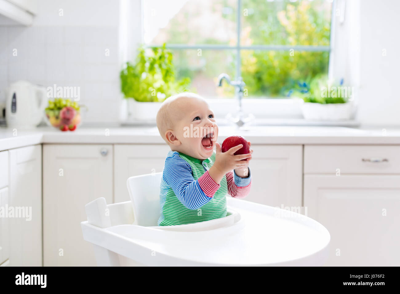 Baby eating fruit. Little boy biting apple sitting in white high chair ...