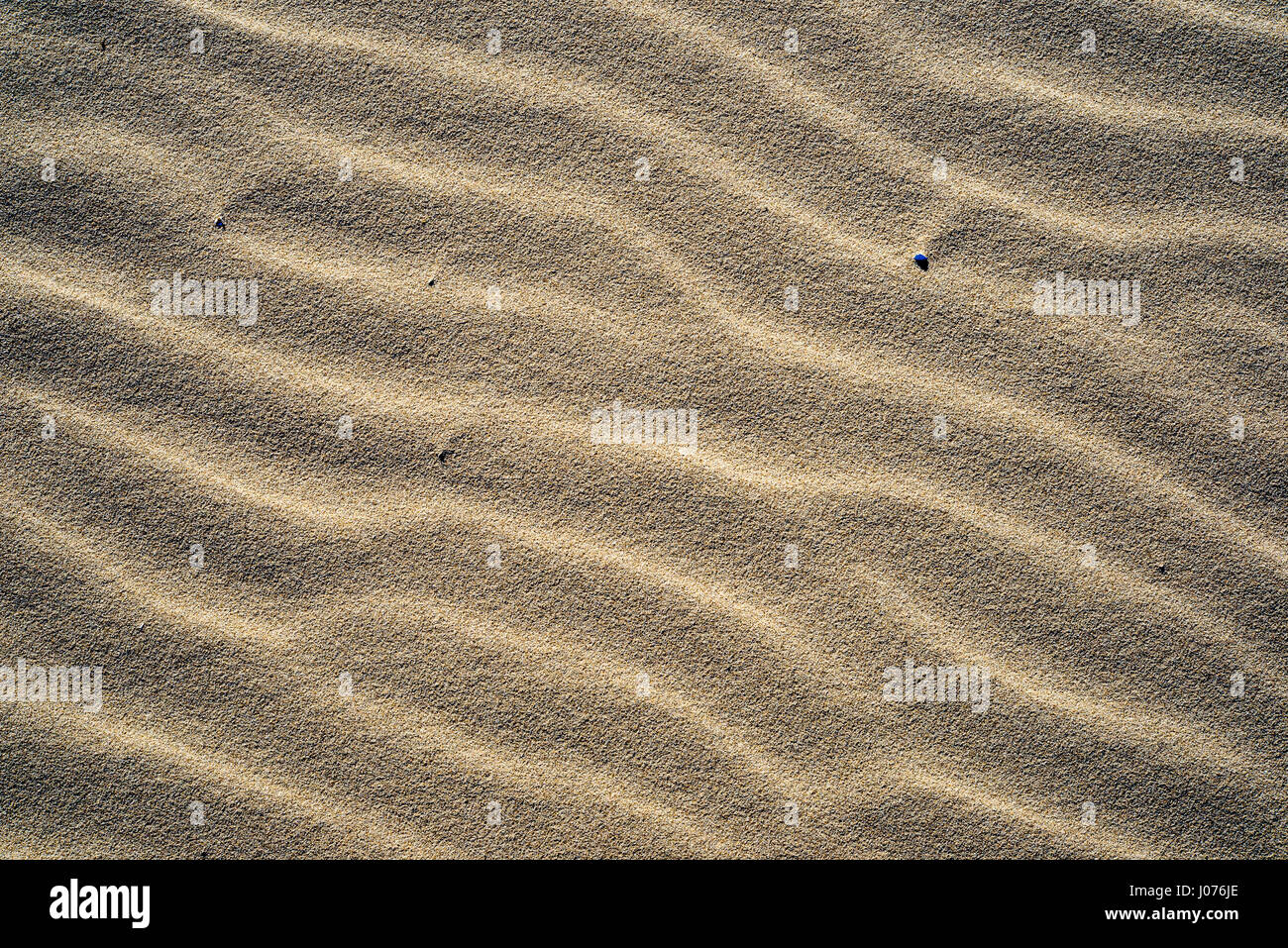 A background texture of unrefined, damp and grainy natural golden sand ...
