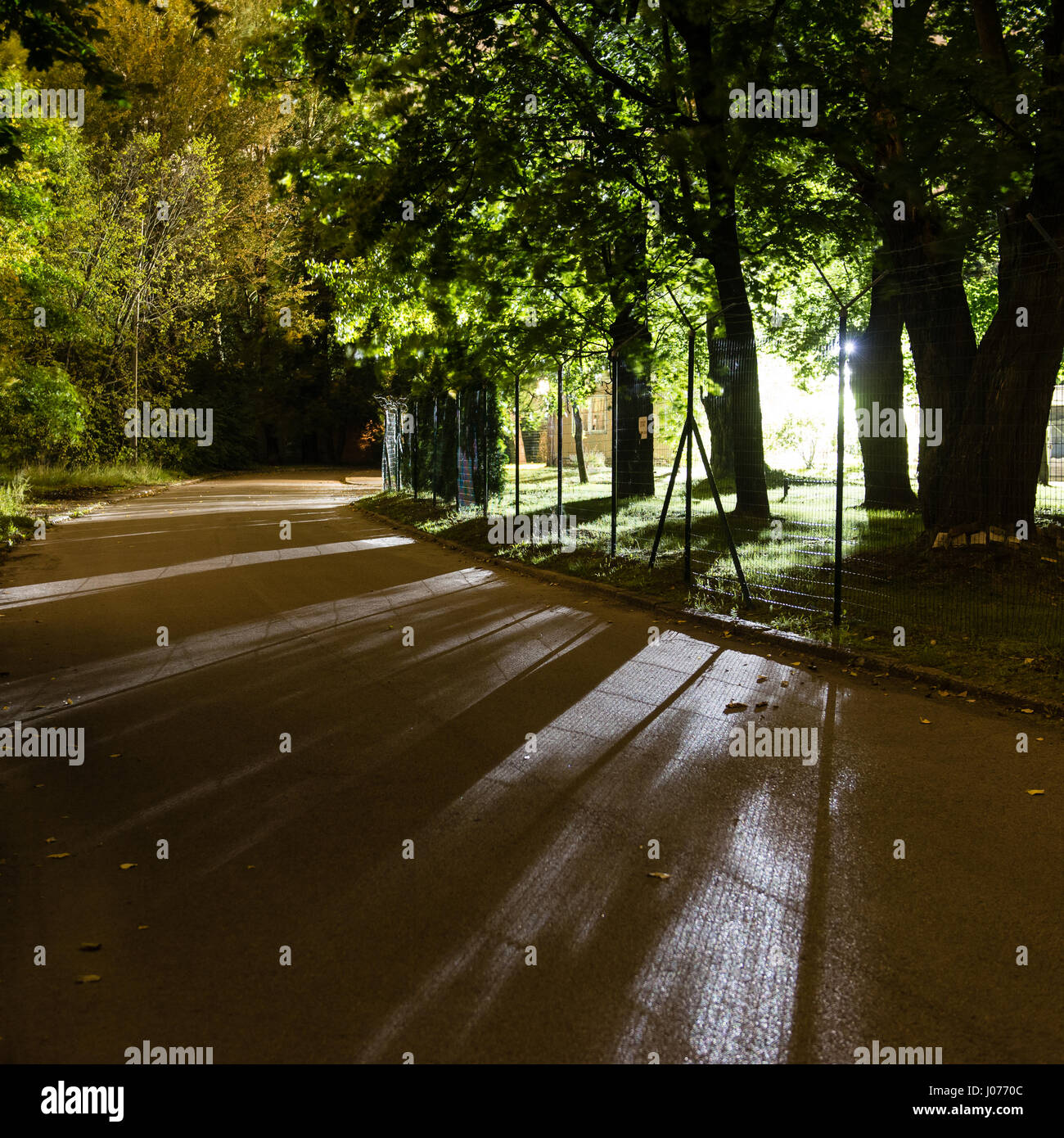 night streets in city at night Stock Photo - Alamy