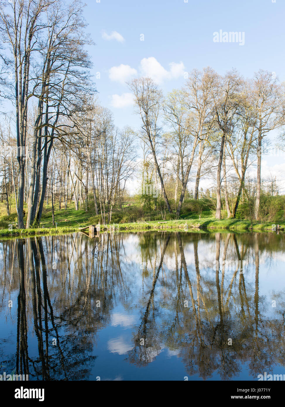 scenic and beautiful reflections of trees and clouds in water of the ...