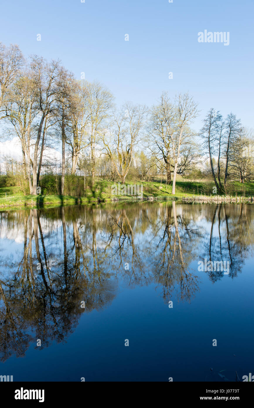 scenic and beautiful reflections of trees and clouds in water of the ...