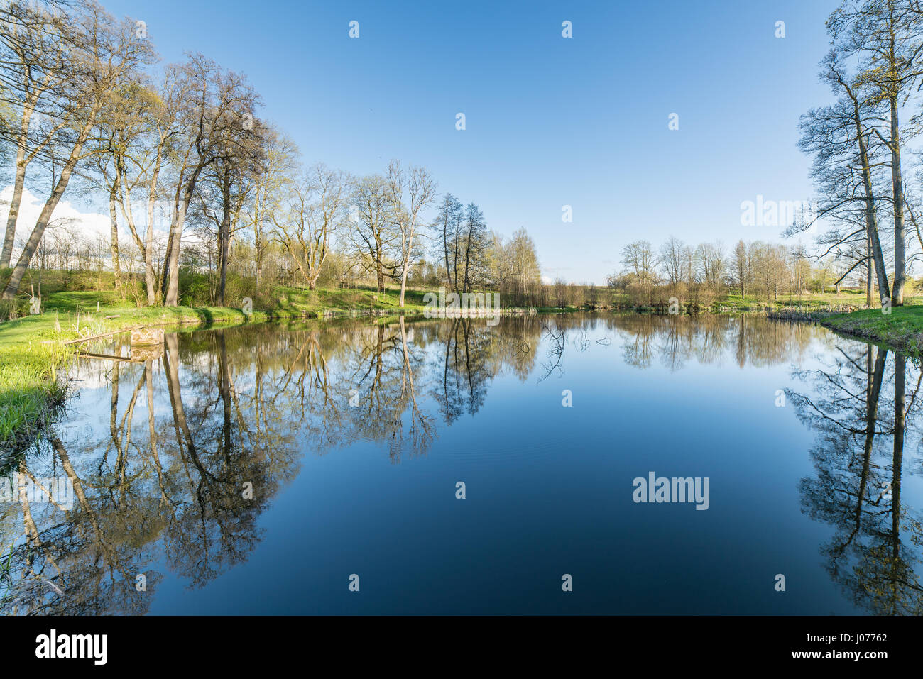 scenic and beautiful reflections of trees and clouds in water of the ...