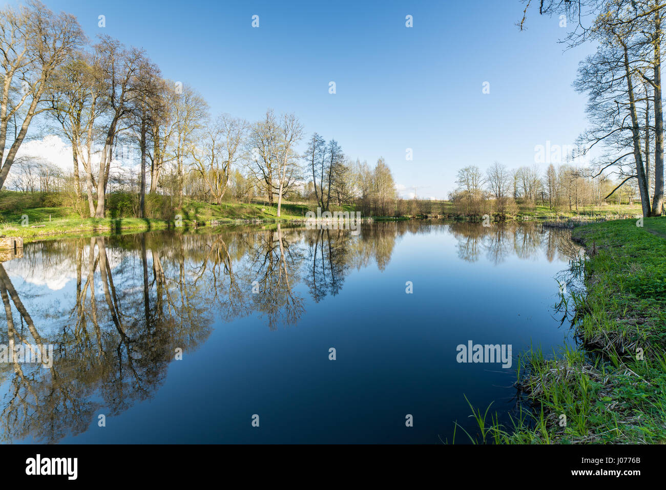 scenic and beautiful reflections of trees and clouds in water of the ...