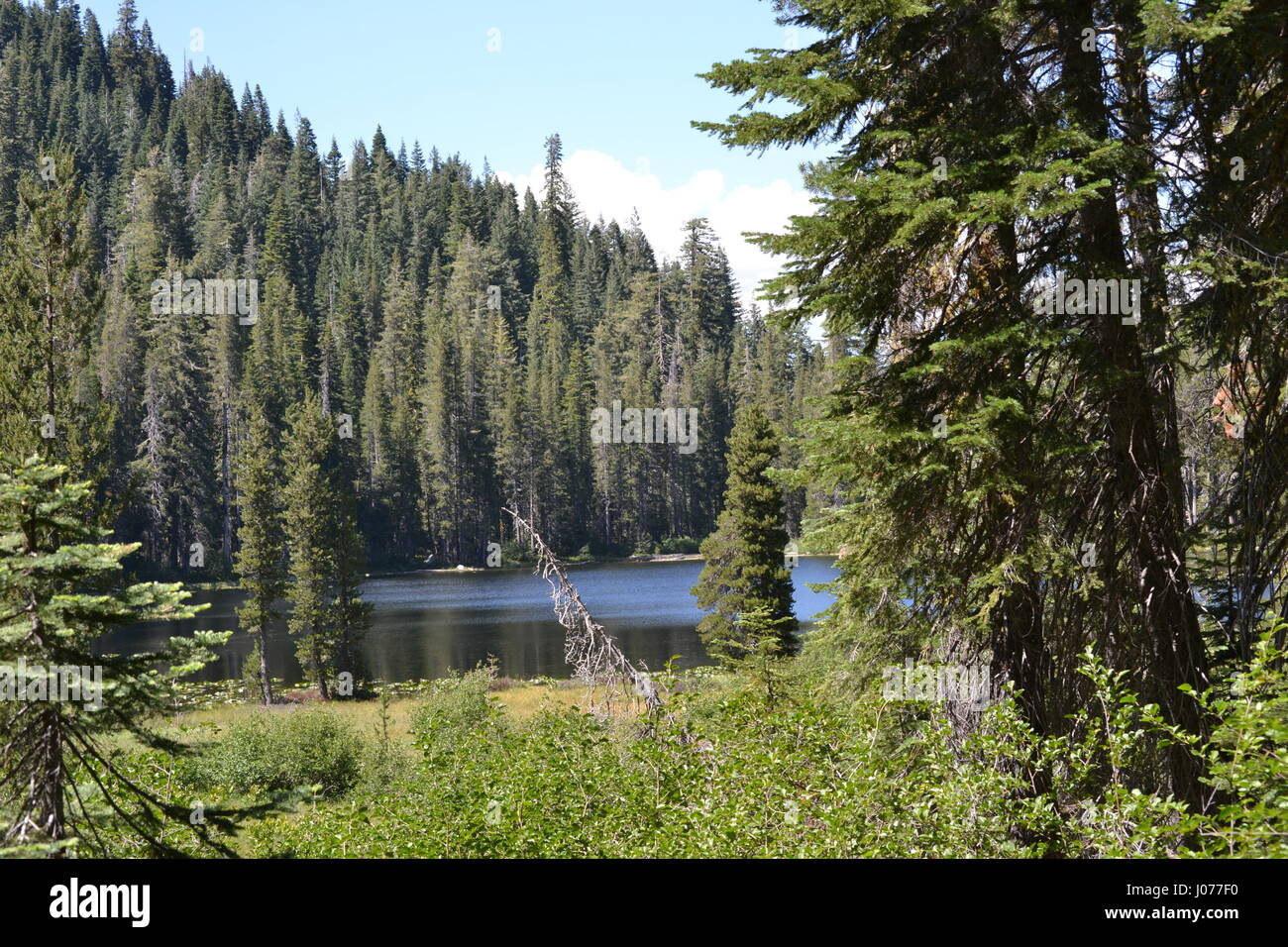 Alpine lake in trinity hi-res stock photography and images - Alamy