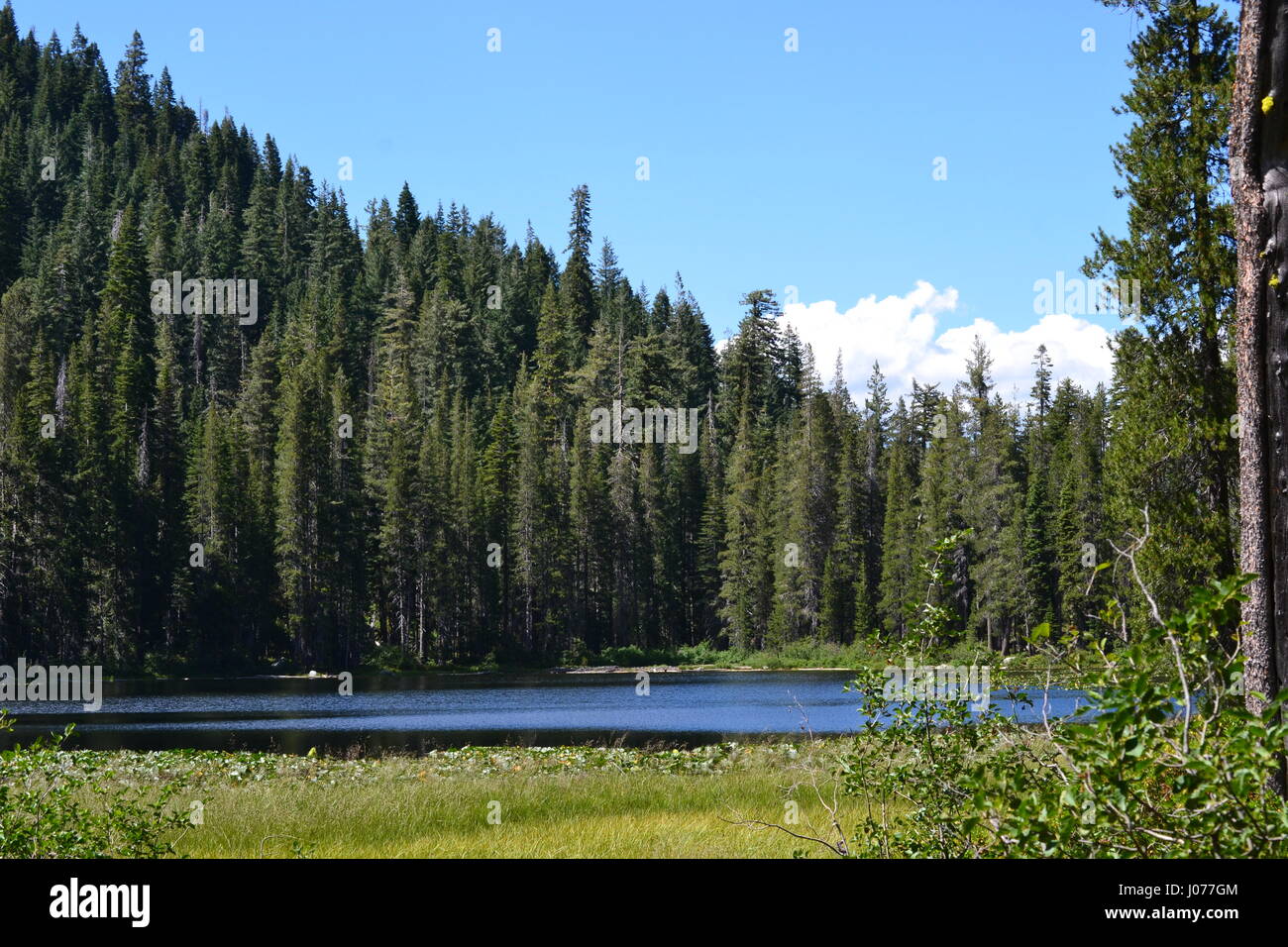 Boulder lake in the Trinity Alps Stock Photo - Alamy