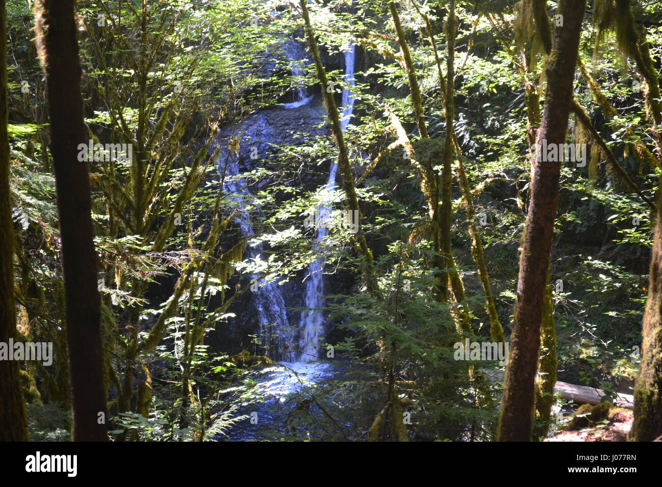 waterfall in the woods Stock Photo - Alamy