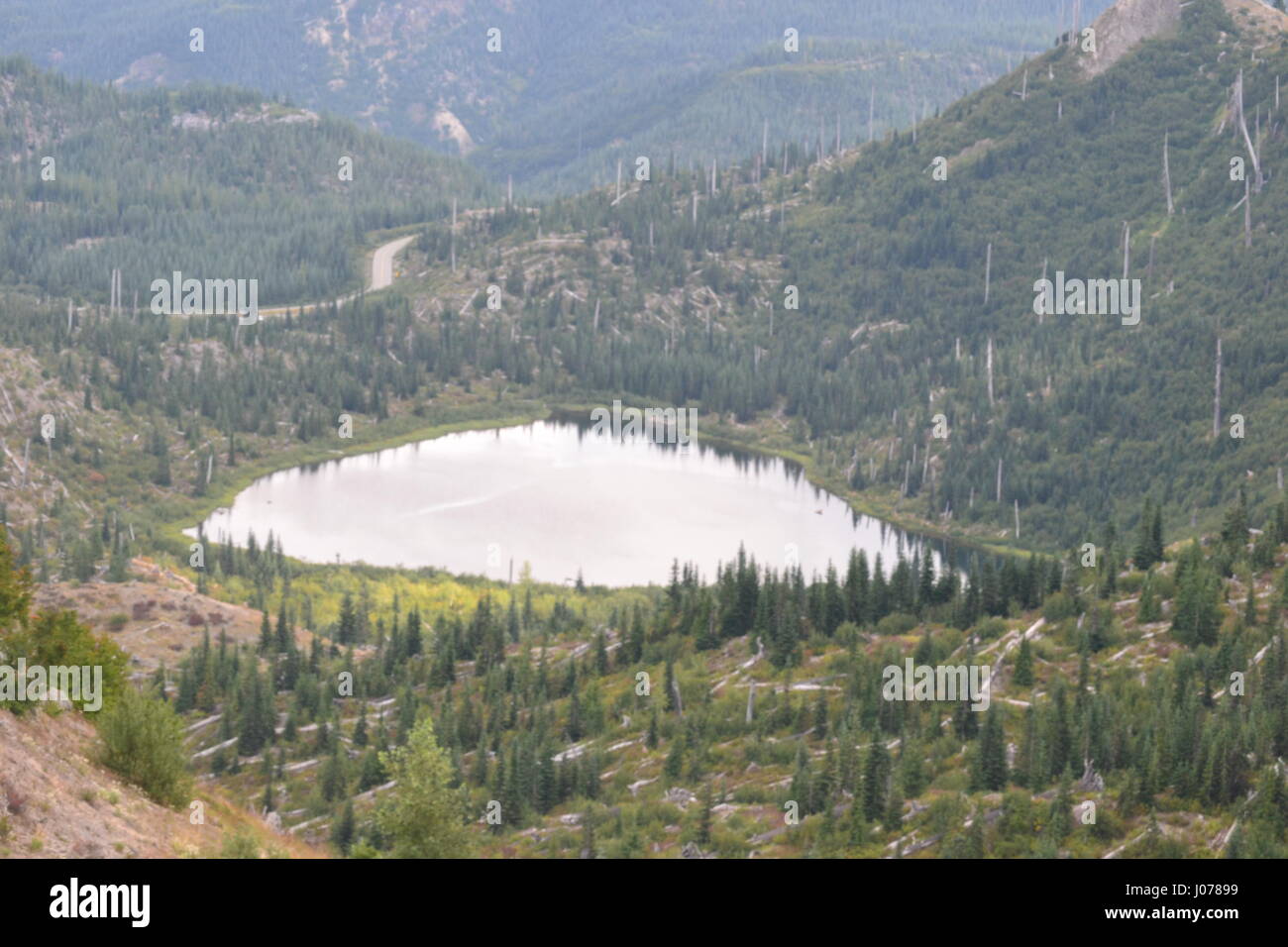 Wooded lake hi-res stock photography and images - Alamy