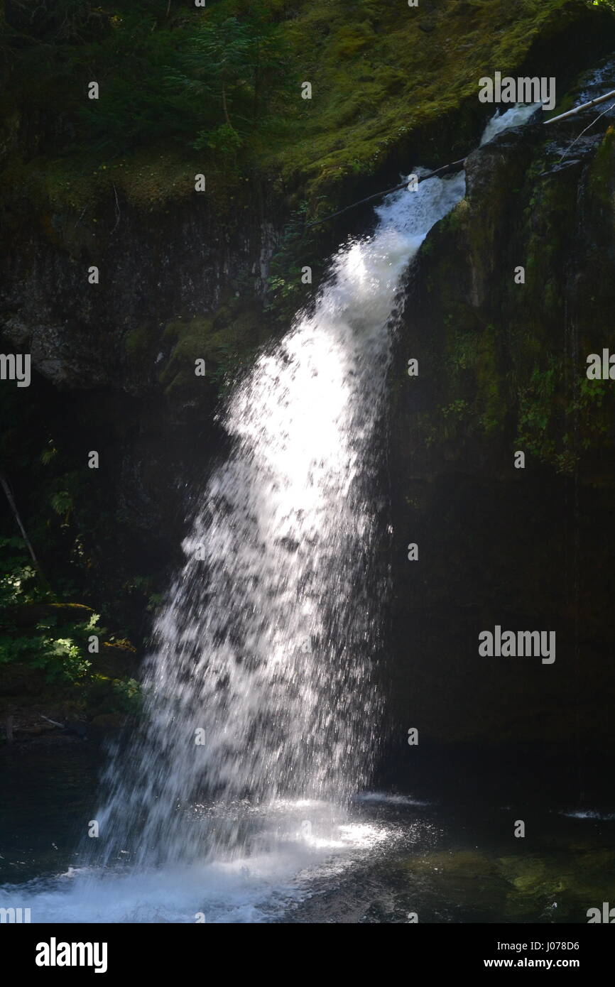 Waterfall in woods Stock Photo - Alamy