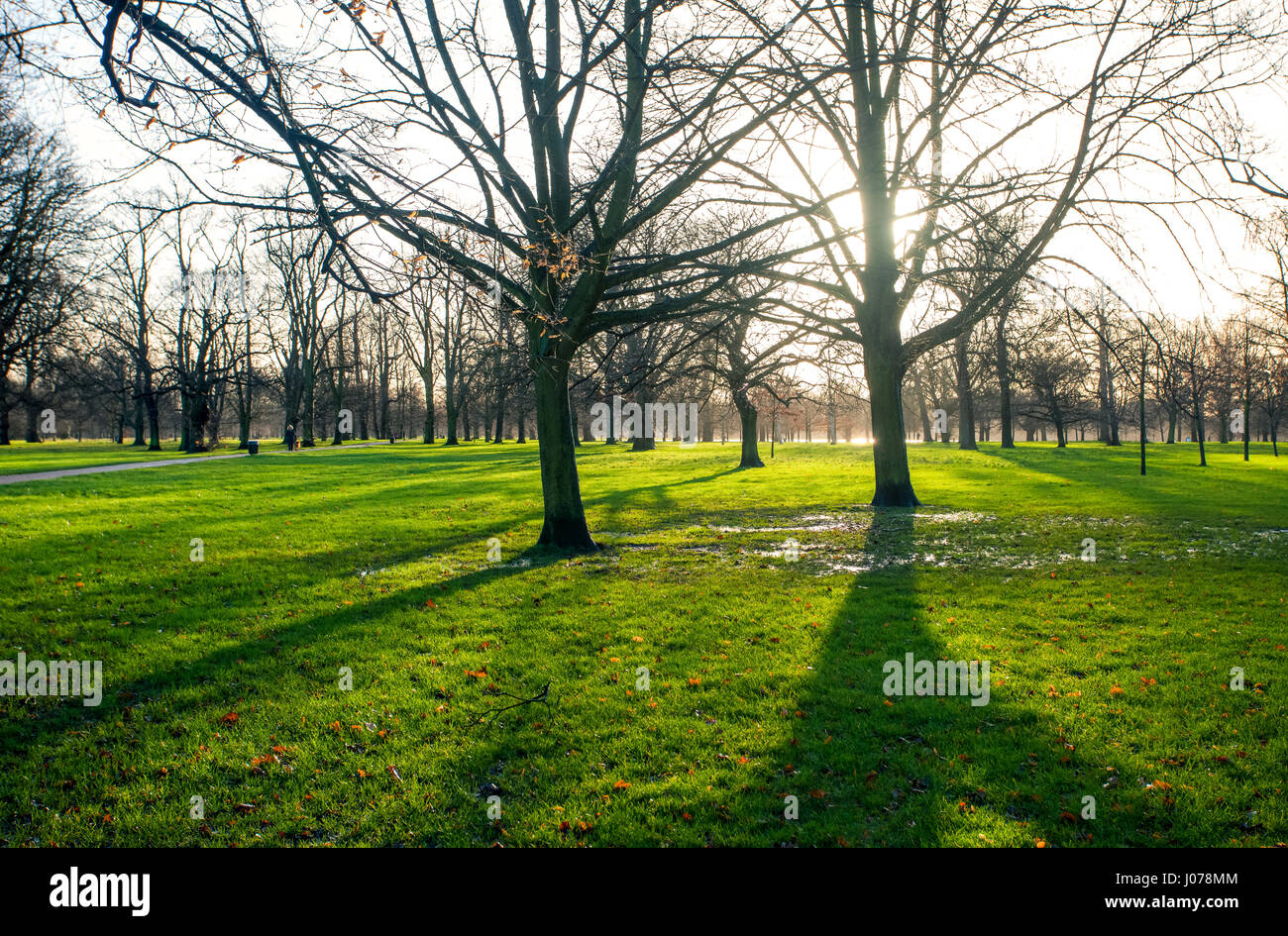 A Sunny morning in spring Park Stock Photo - Alamy