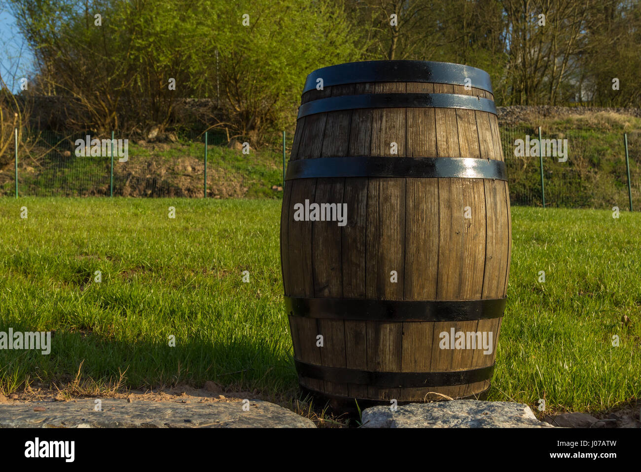 Green lawn trees hi-res stock photography and images - Alamy