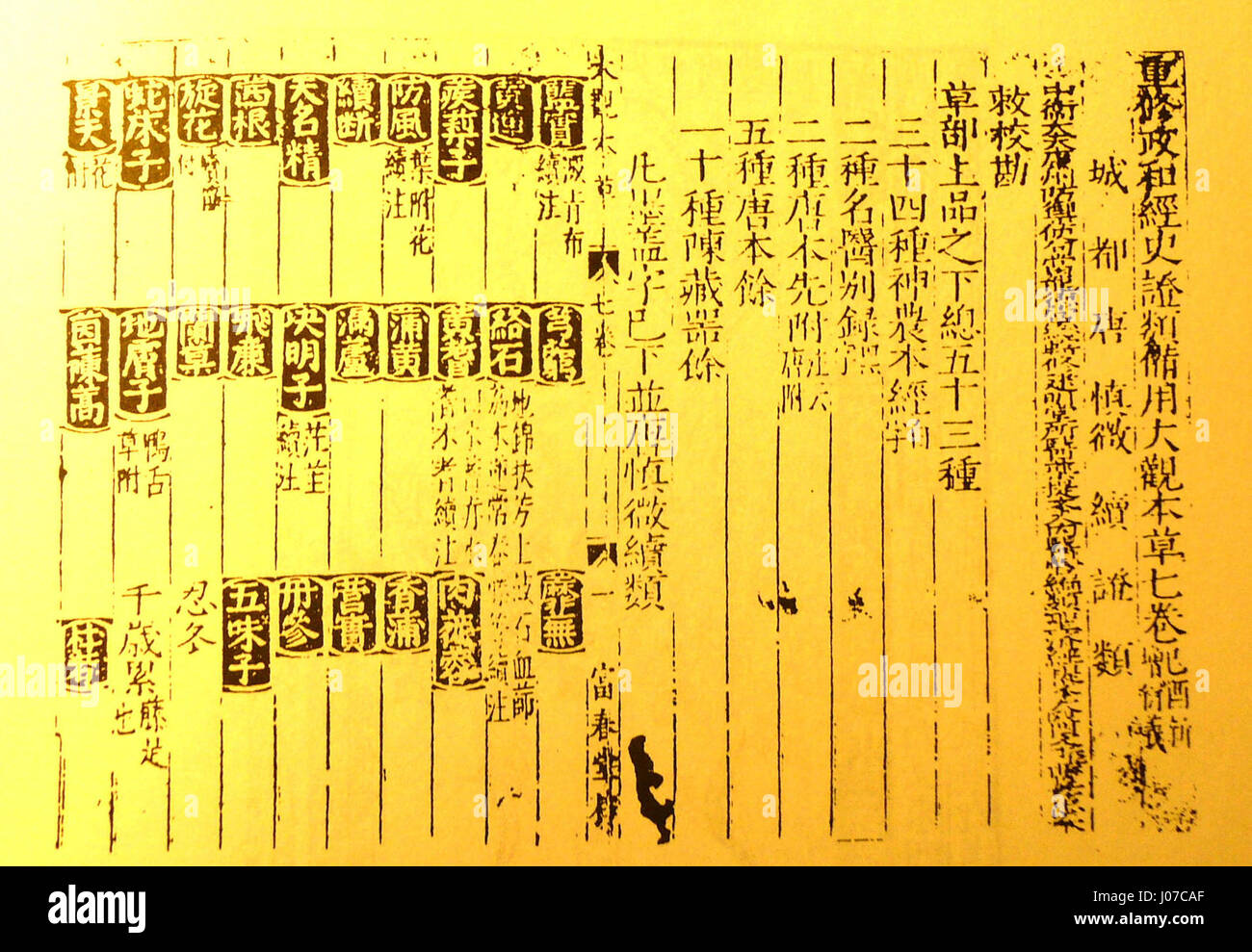 This artwork features a Japanese script and imagery. The symbols likely ...