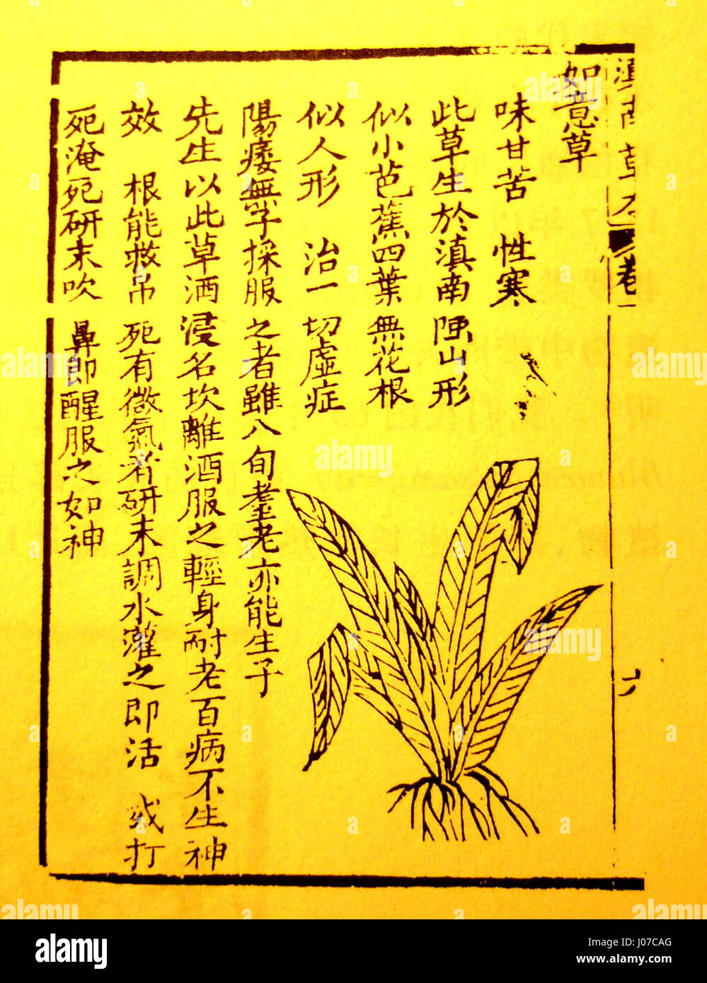 This title appears to be in Japanese, and further context is needed to ...