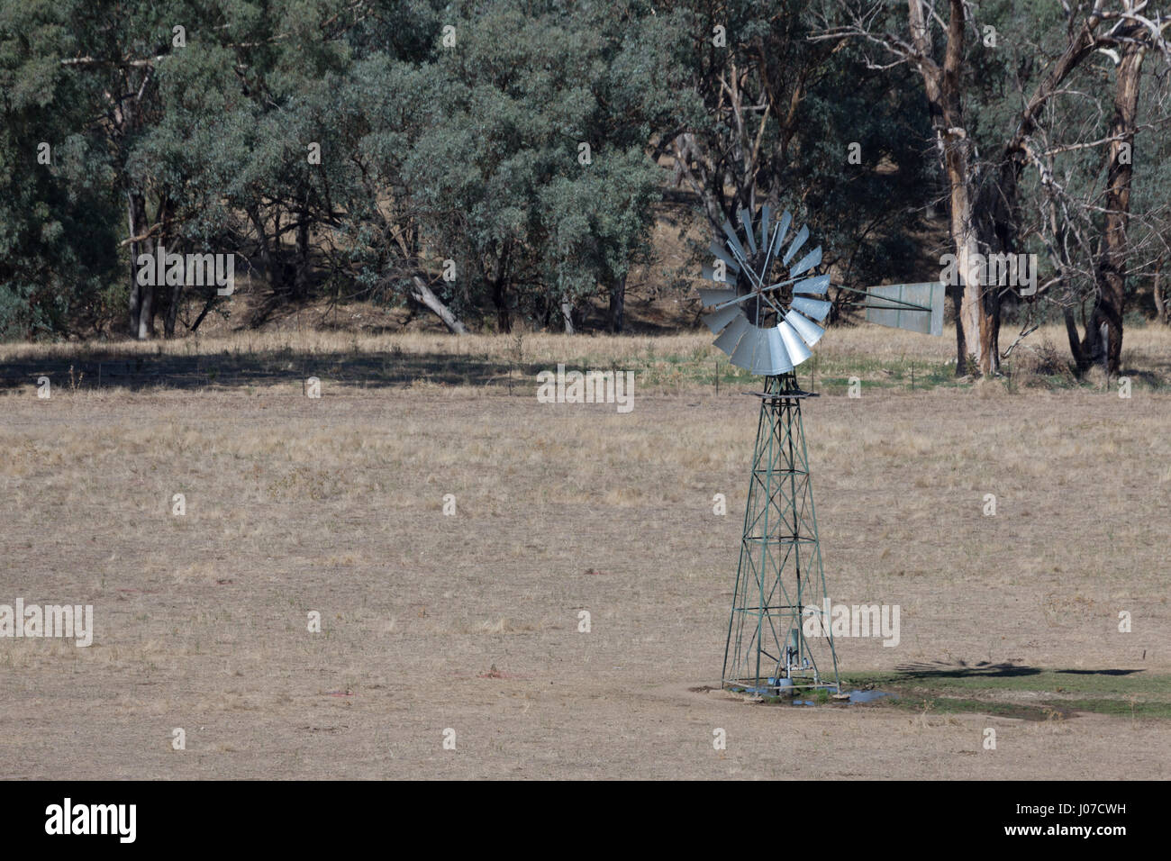 A photograph of a windmill on an Australian farm. The photograph was ...