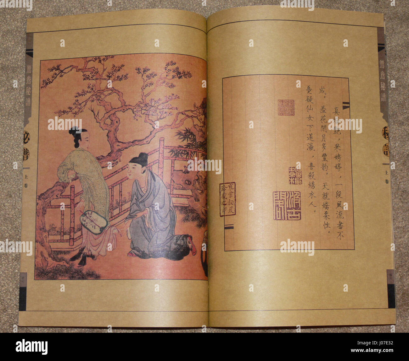 This title appears to be in Japanese and requires further contextual ...