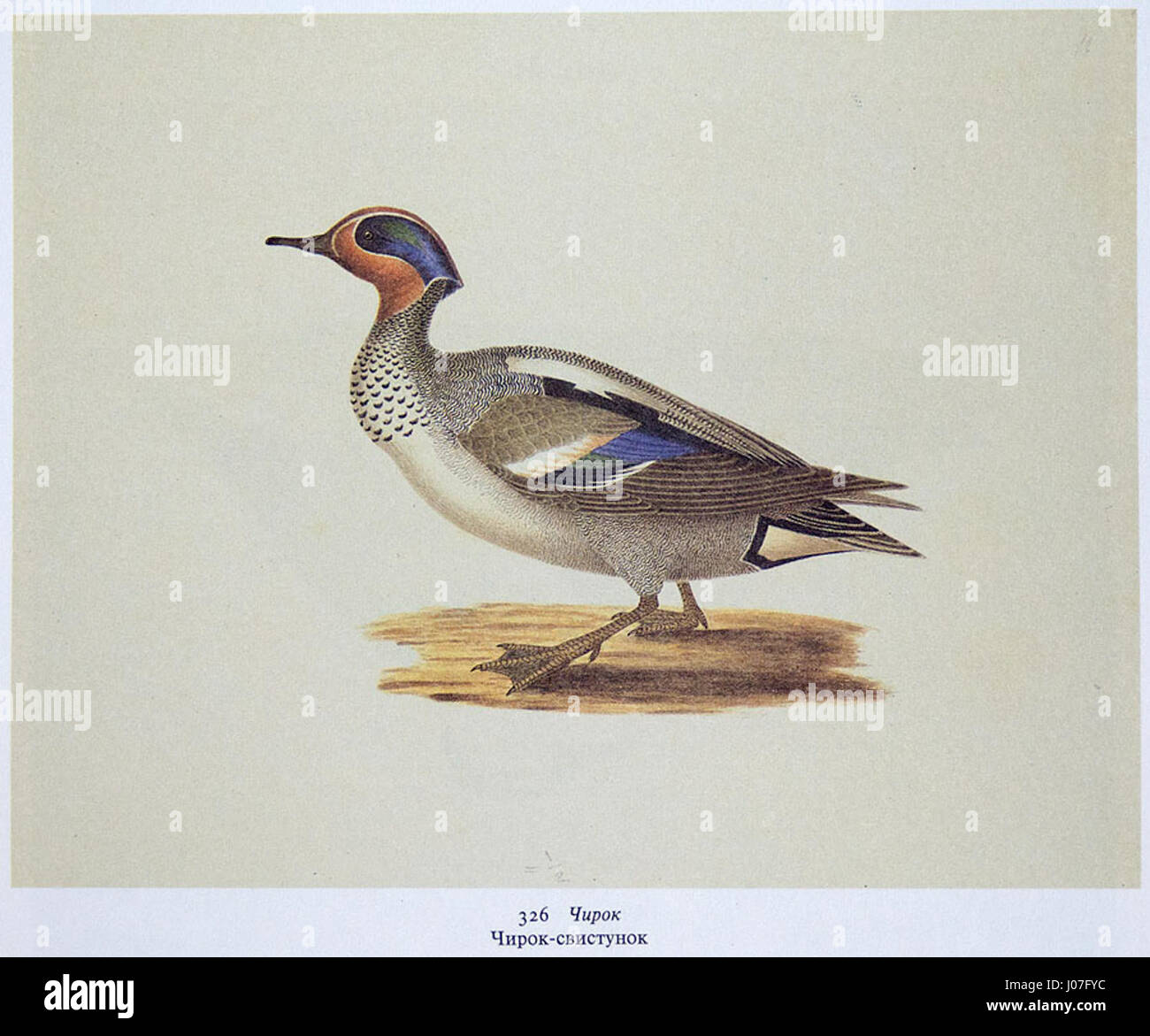 This title represents a transliterated text in Cyrillic, potentially a ...