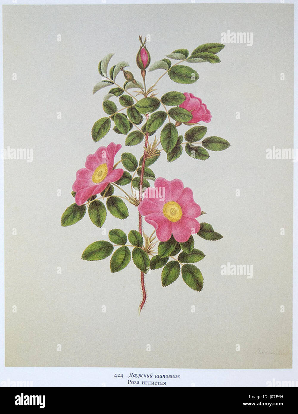 Text appears sequence characters hi-res stock photography and images ...