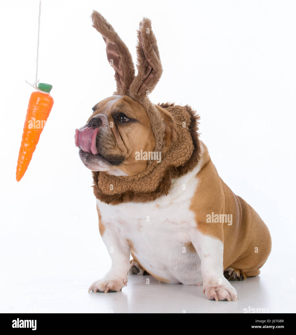 Dressed as a bunny hi-res stock photography and images - Alamy