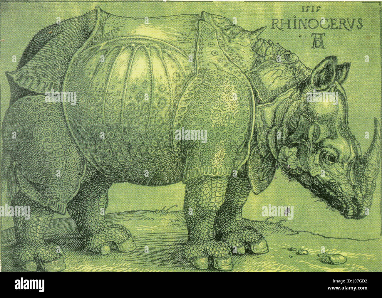 Albrecht Dürer's famous woodcut 'Rhinoceros,' created in 1515, depicts ...