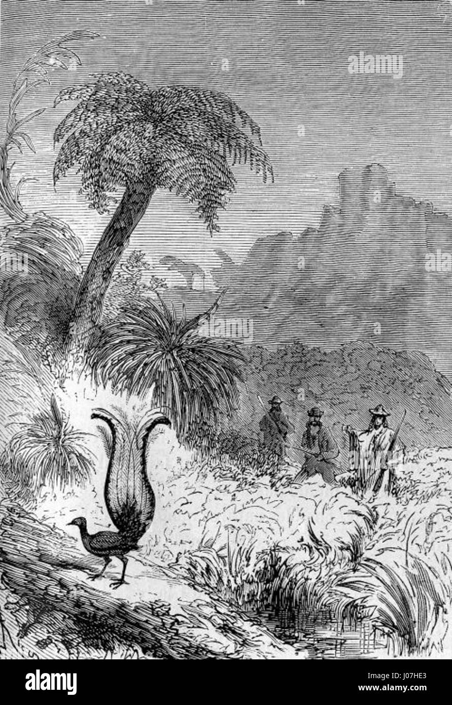 'The Children of Captain Grant' by Édouard Riou is an illustration from ...