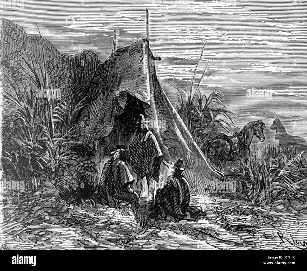 'The Children of Captain Grant' by Édouard Riou, a classic illustration ...