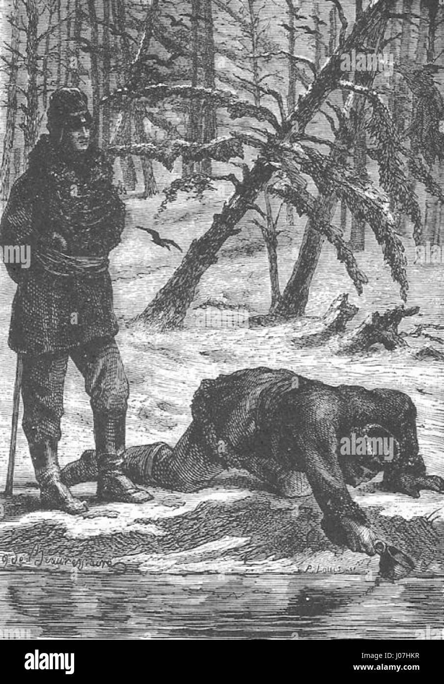 Fur trapping hi-res stock photography and images - Alamy