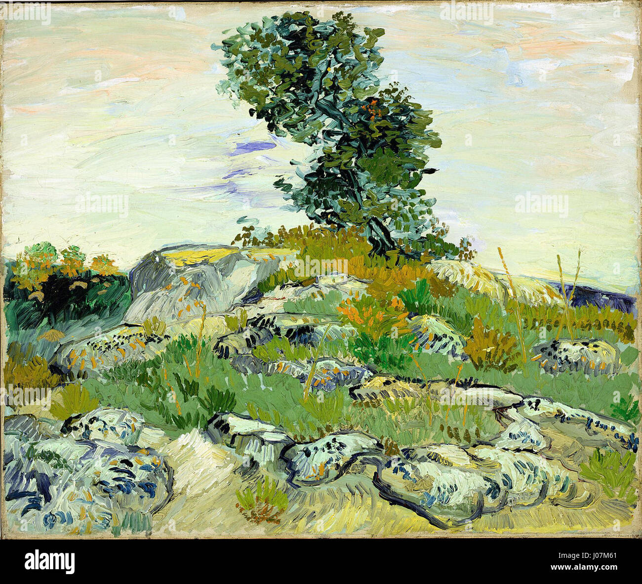 Vincent van Gogh’s 'Collines rocheuses de chênes' (Rocky Hills with ...