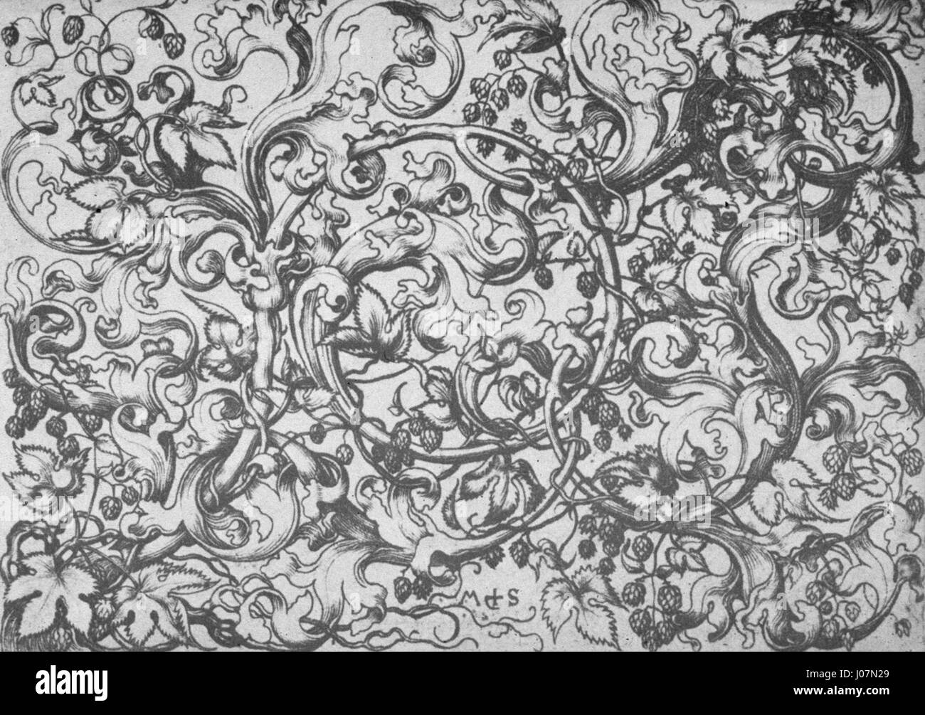 Martin Schongauer's 'Querfüllung mit Hopfenranke' (L 108) is a detailed ...