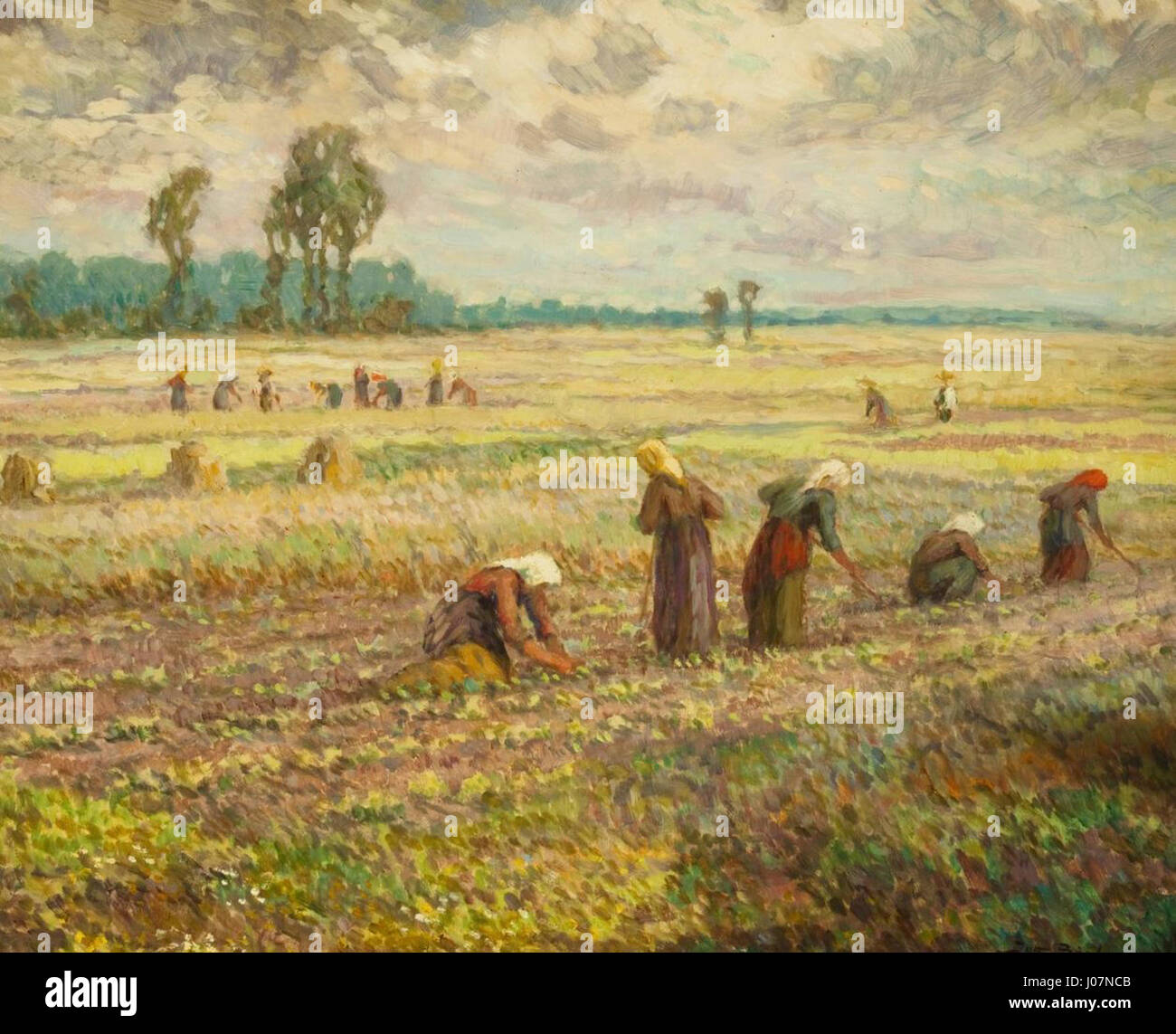 Auf dem felde hi-res stock photography and images - Alamy