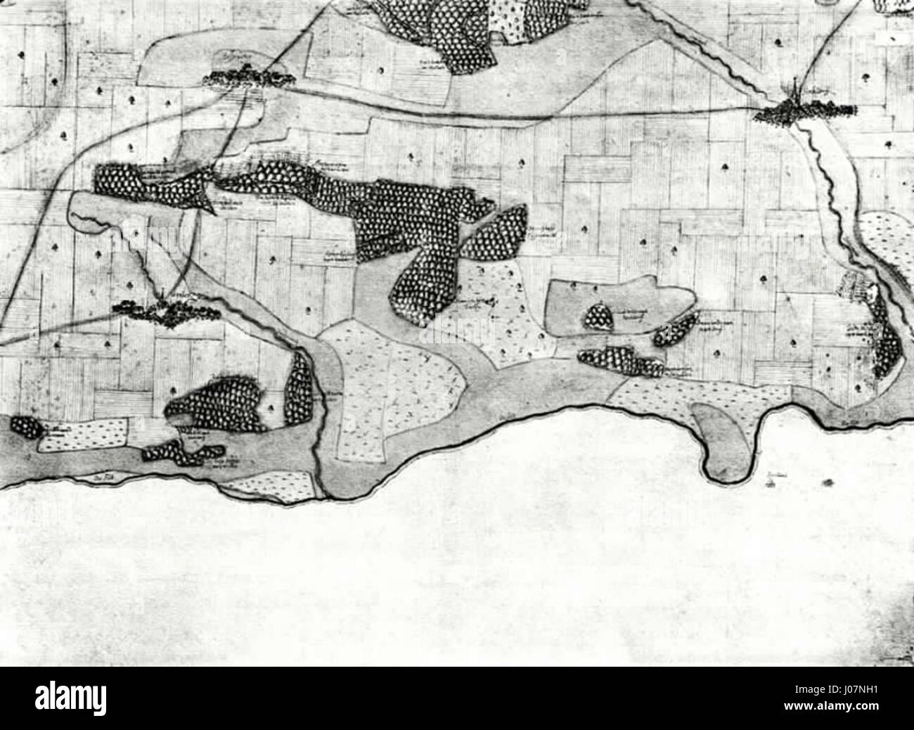 Kieser’s Forest Map No. 8 illustrates the forested region of ...